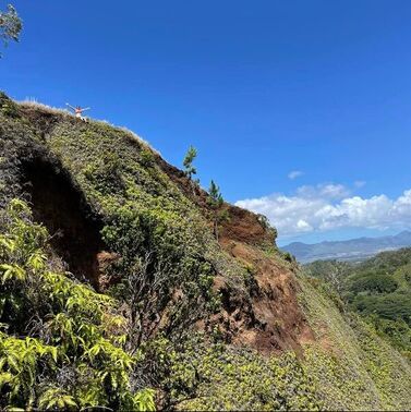 Balance – B. Corbin Clarinet Products